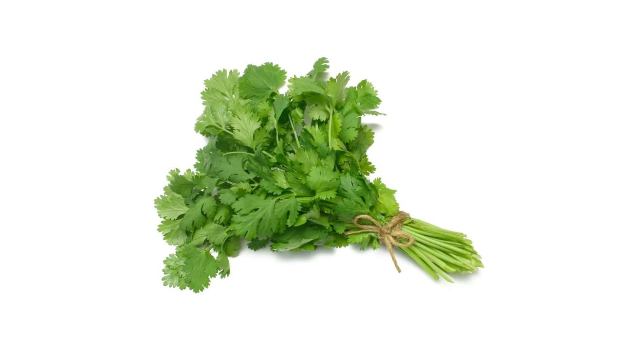 20+ Types of Herbs and How to Use Them in Cooking?