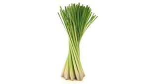 20+ Types of Herbs and How to Use Them in Cooking?