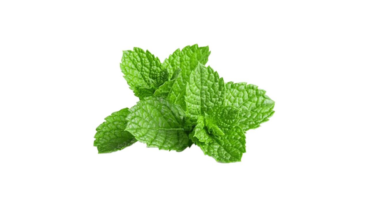 20+ Types of Herbs and How to Use Them in Cooking?