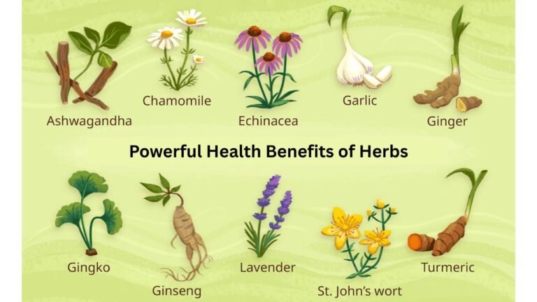 What Are Herbs? Types, Uses and Health Benefits