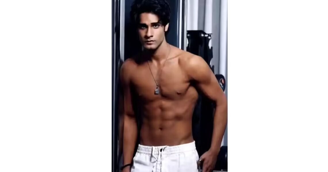 Aman Devgan Father: Biography, Fitness, Debut & Family