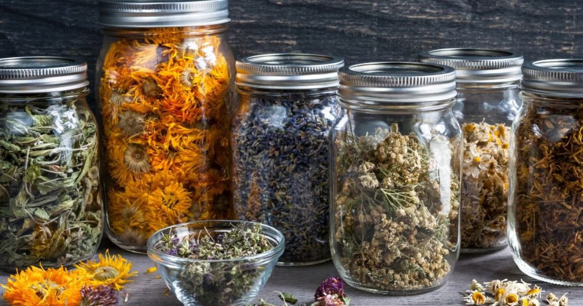 How to Dry Herbs at Home: Easy Methods for Long-Lasting Use