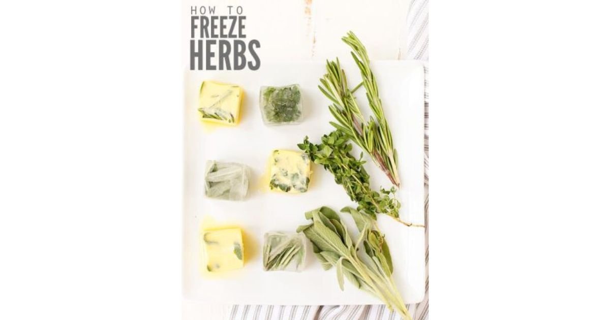 How to Freeze Fresh Herbs for Long-Lasting Flavor?