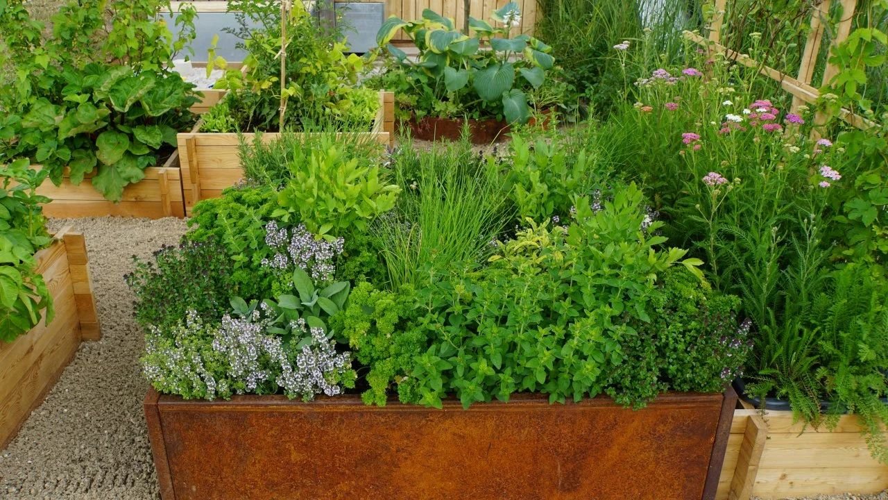 Top 12 Perennial Herb Varieties for Every Garden