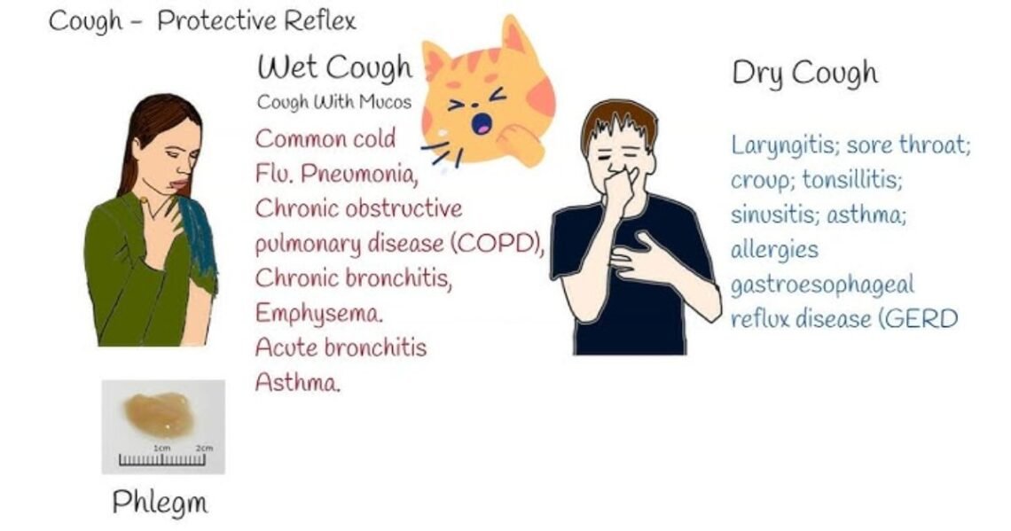 10 Best Cough Syrup for Fast Relief – 2026 Guide